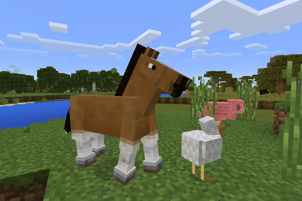 Computercamp - Programmieren, Spielen & Lernen